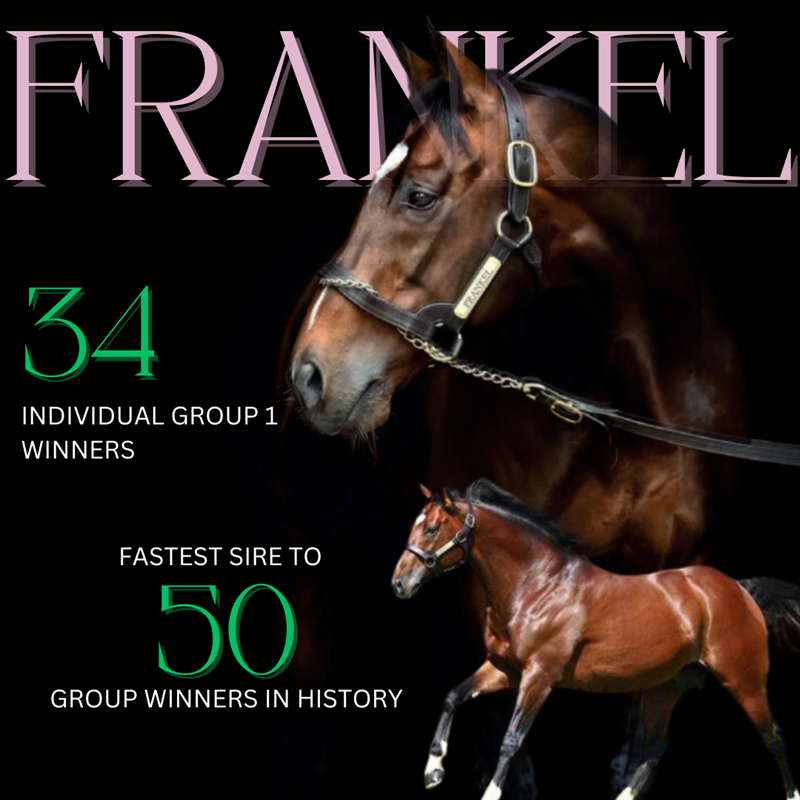 Stallion Profile: Frankel - Highclere Racing
